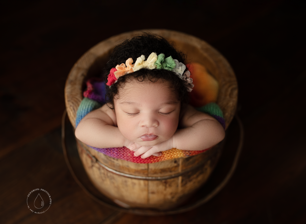 Dewdrops Photography by Amy McDaniel 1:1 and 2:1 Mentoring Sessions ...