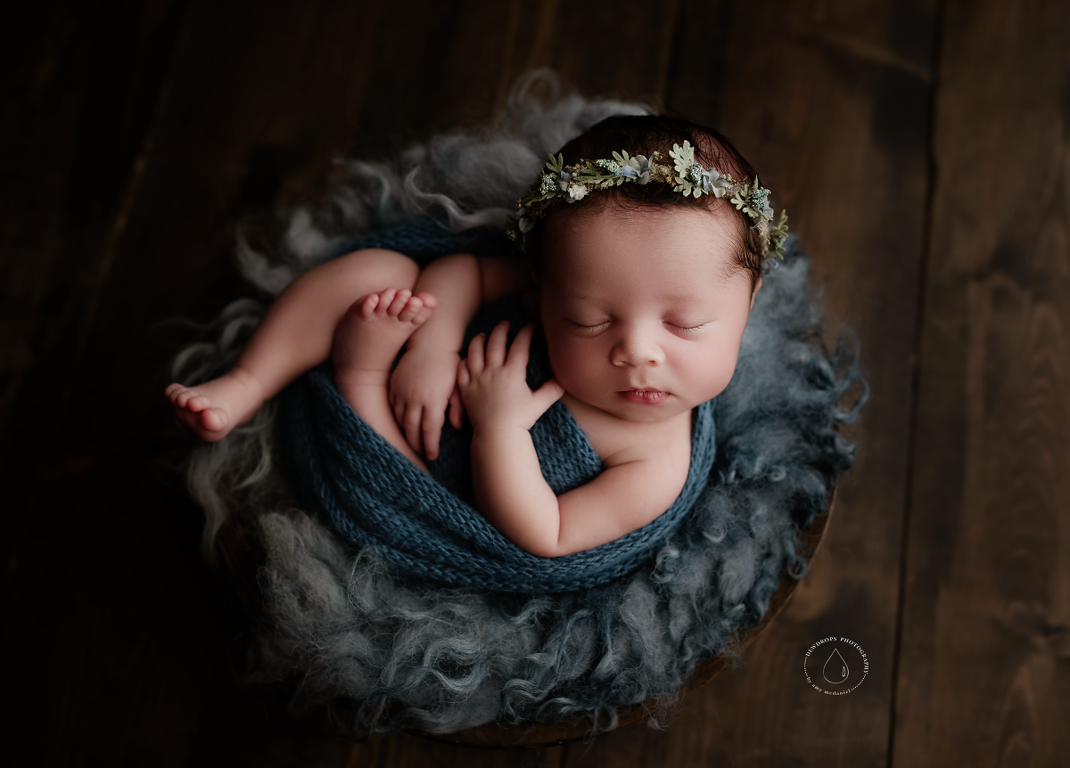 Workshops and Mentoring » Dewdrops Photography by Amy McDaniel