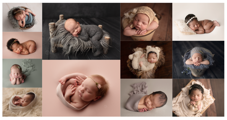 Dewdrops Real Time Workshops » Dewdrops Photography by Amy McDaniel