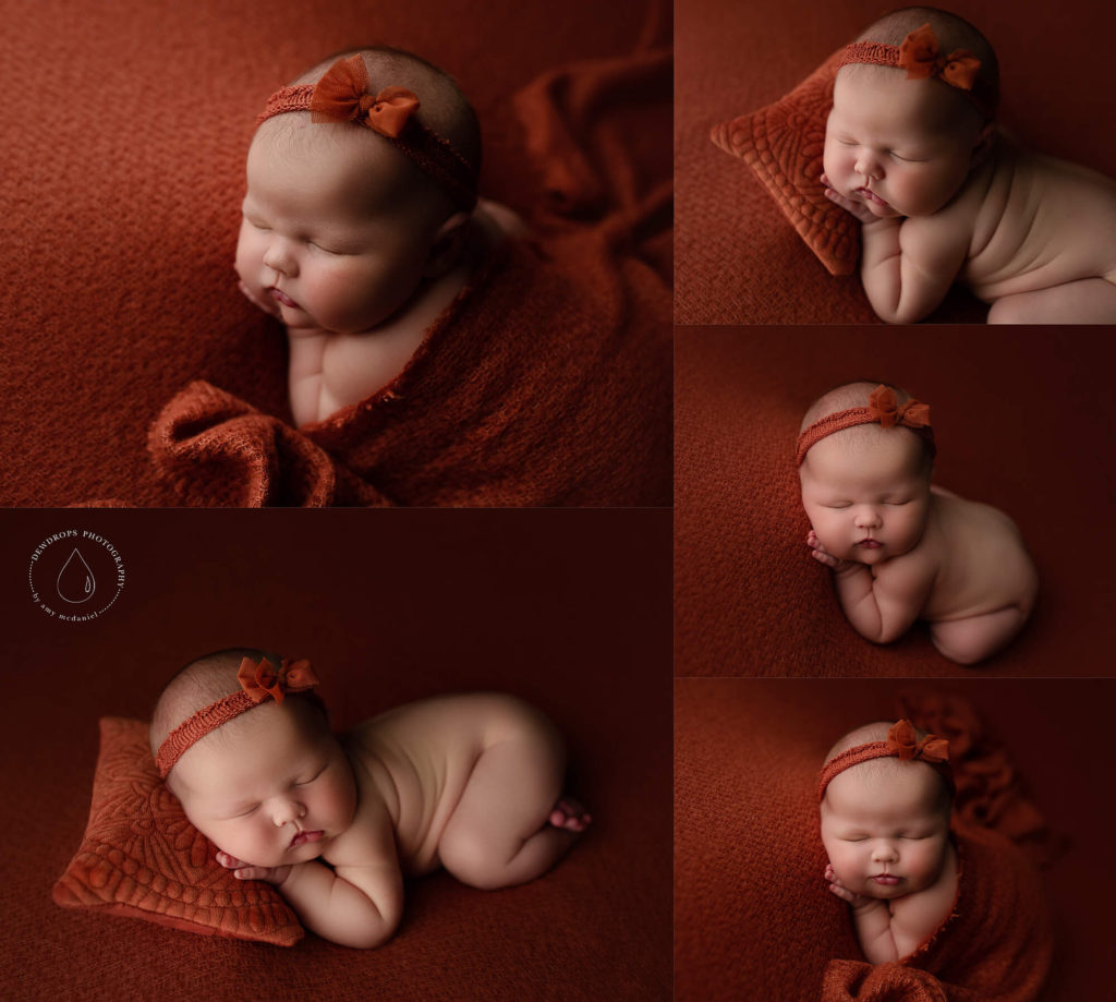 Dewdrops Photography Now Available In Olympia Washington!